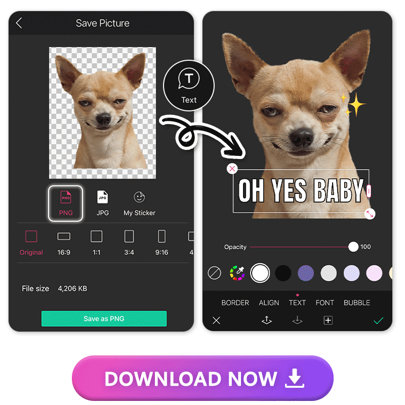 Best App To Remove Background From Picture For FREE PERFECT best-app-to-remove-background-from-picture-for-free-perfect