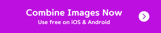 Merge Photos for Free with the Image Combiner | PERFECT