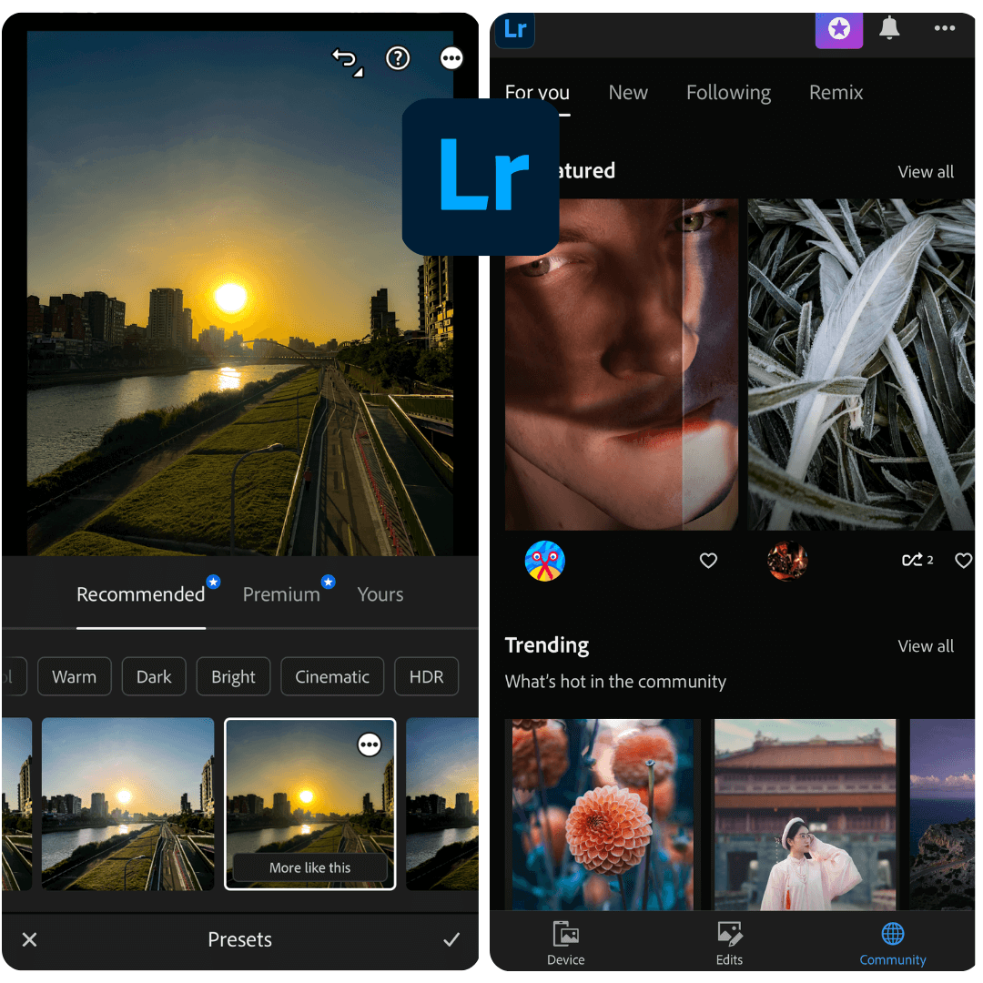 Top 11 Free Photo Editing Apps for iOS & Android in 2024 | PERFECT