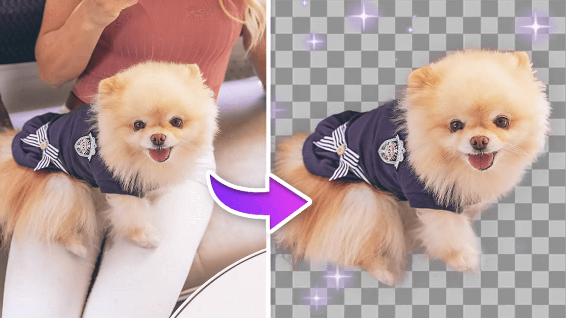 Détourer une image en ligne via IA [Rapide, précis, gratuit] | YouCam ...