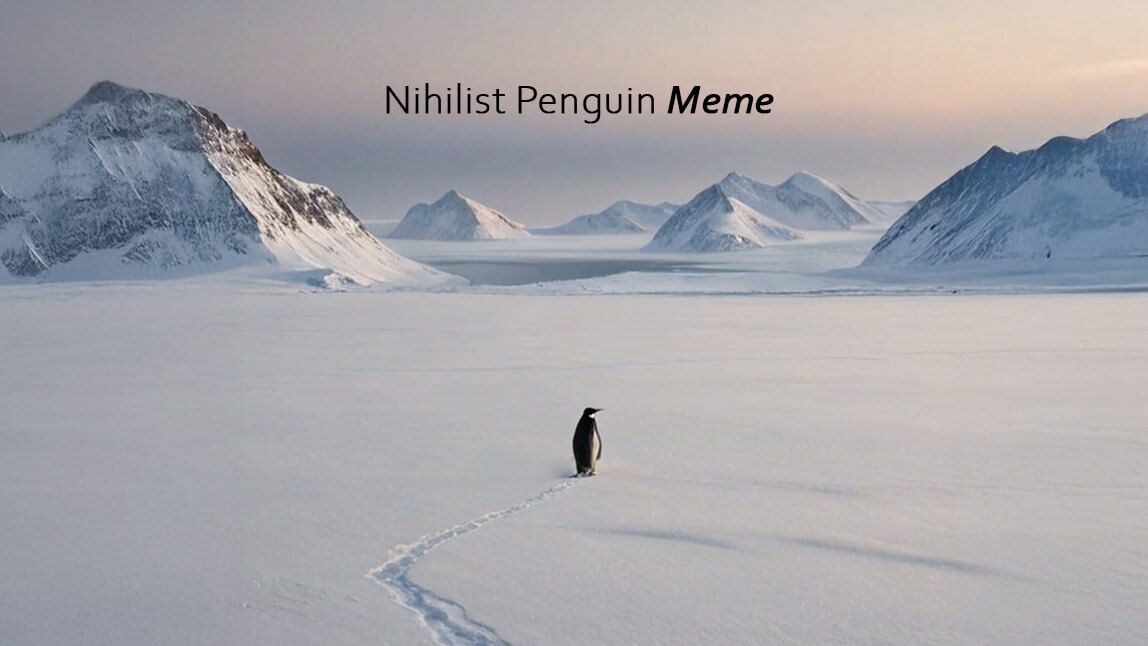 What is the Viral Nihilist Penguin Meme Trend & How to Make with Prompts